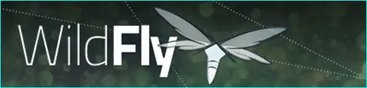 Must Know Wildfly 10 Features Quick Guide
